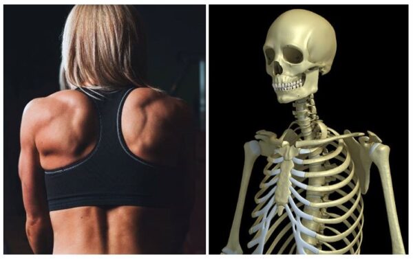 Fasting vs Starving - Dr Wendi's Health