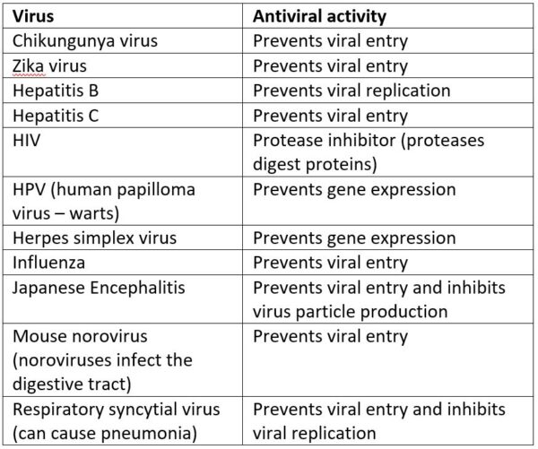 Curcumin has antiviral properties - Dr Wendi Health