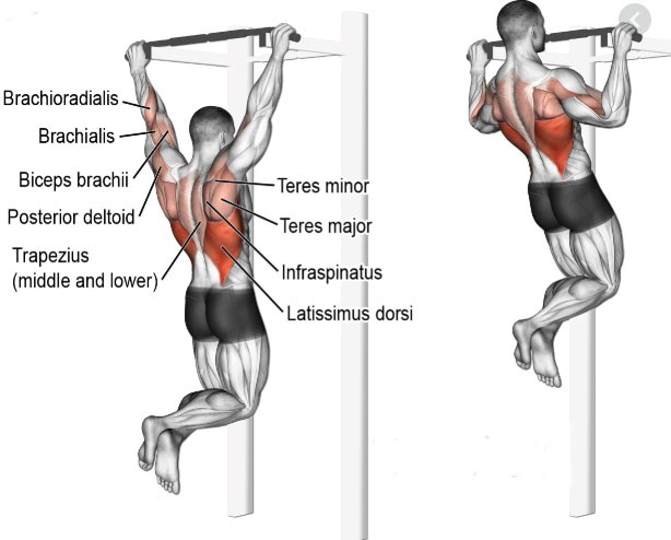 Bodyweight Exercises you can do at Home - Dr Wendi Health