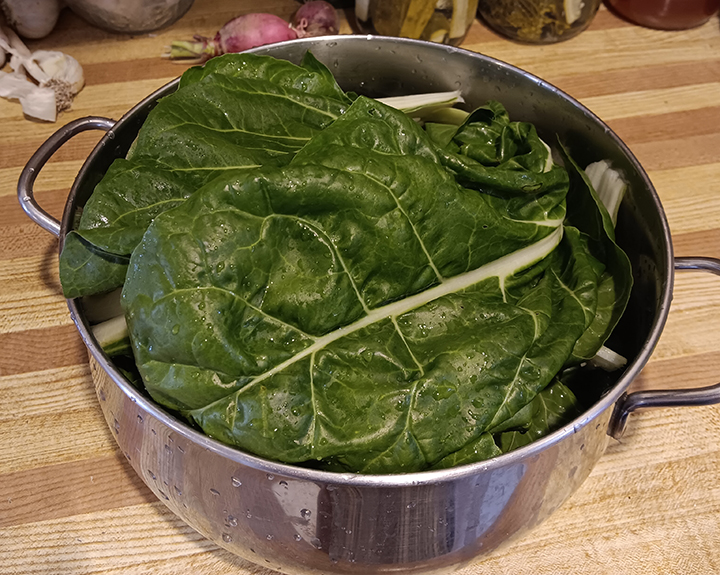 A deficiency in this mineral can cause sugar cravings - Dr Wendi Health